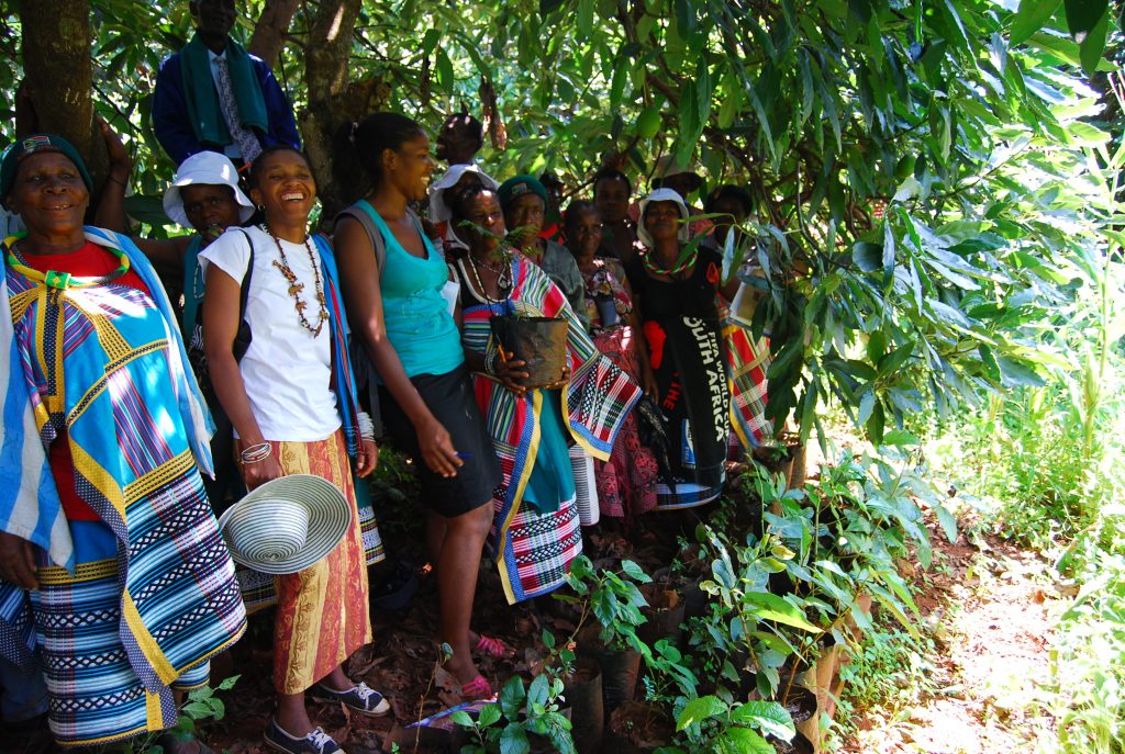 Why we need Dzomo la Mupo - Dzomo la Mupo