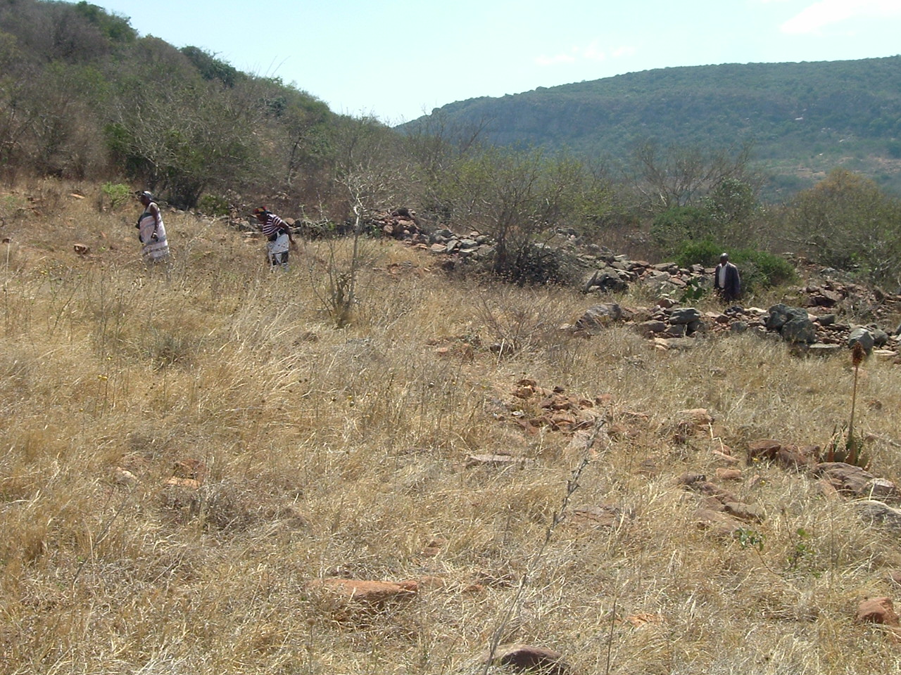 Indigenous Forests and Sacred Sites – Dzomo la Mupo