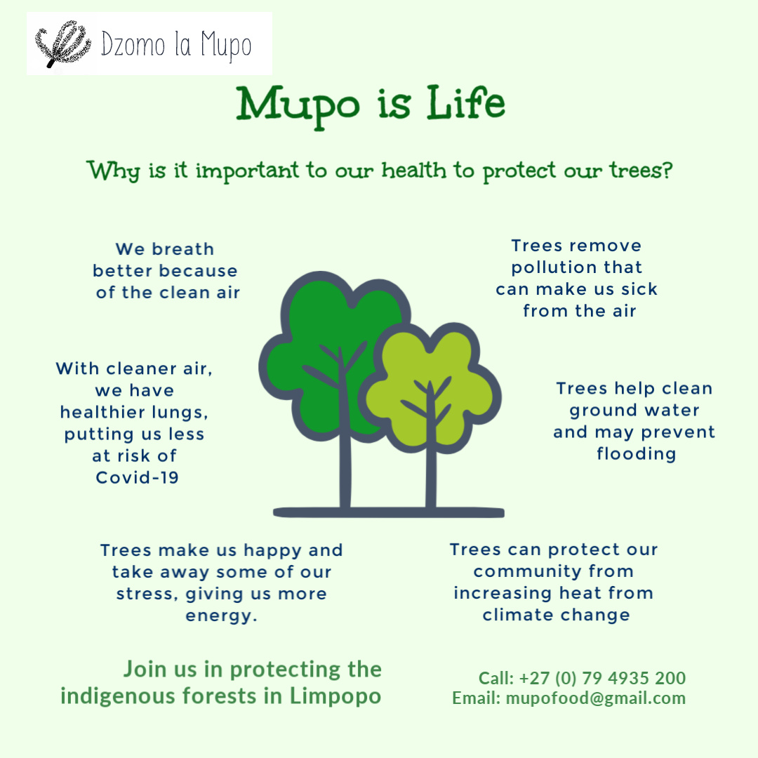 Dzomo la Mupo – The Voice of Mupo